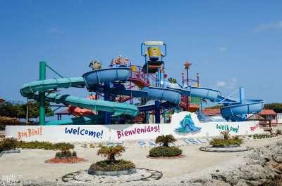 Can A Armant Live In Aruba
