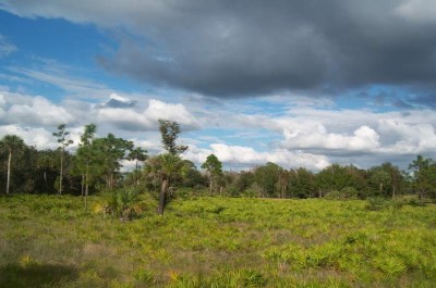 List Of Orlando Theme Parks