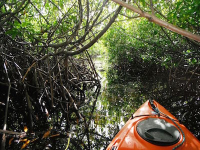 Best Things To Do In Grand Cayman - Activities And Tours